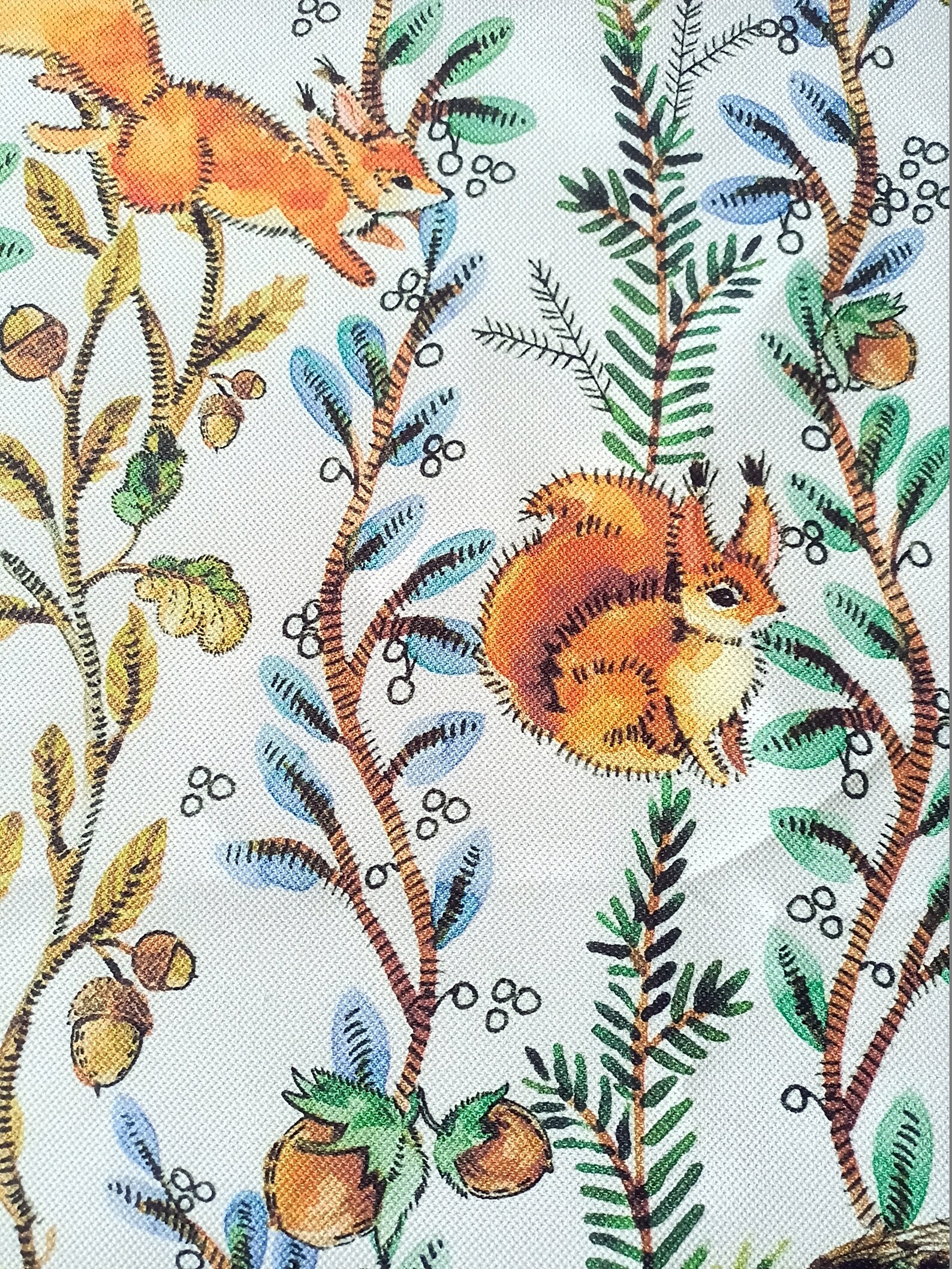 Squirrel, Filbert, Hazelnut and Bird Pupholstery Fabric for Textile ...