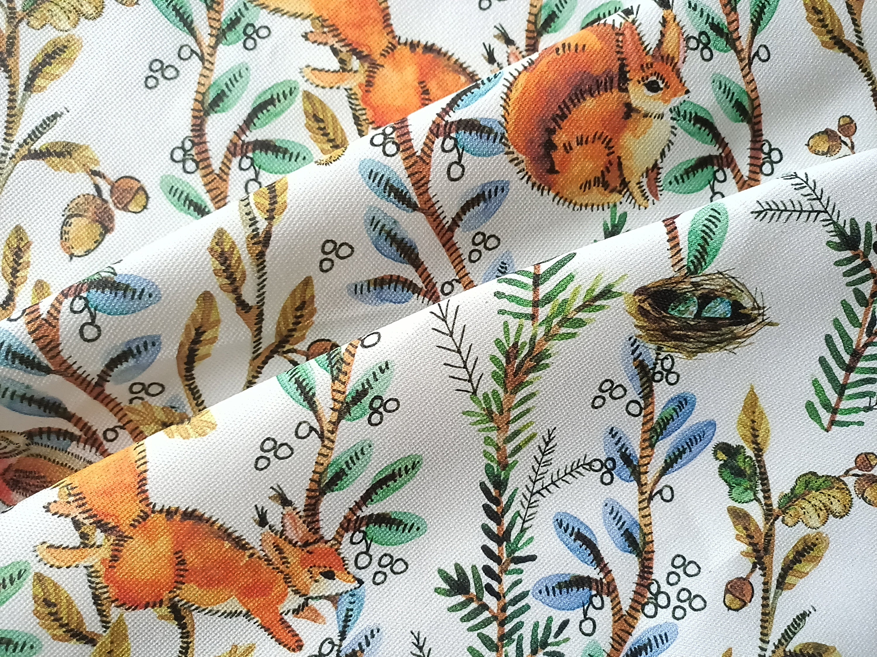 Squirrel, Filbert, Hazelnut and Bird Pupholstery Fabric for Textile ...