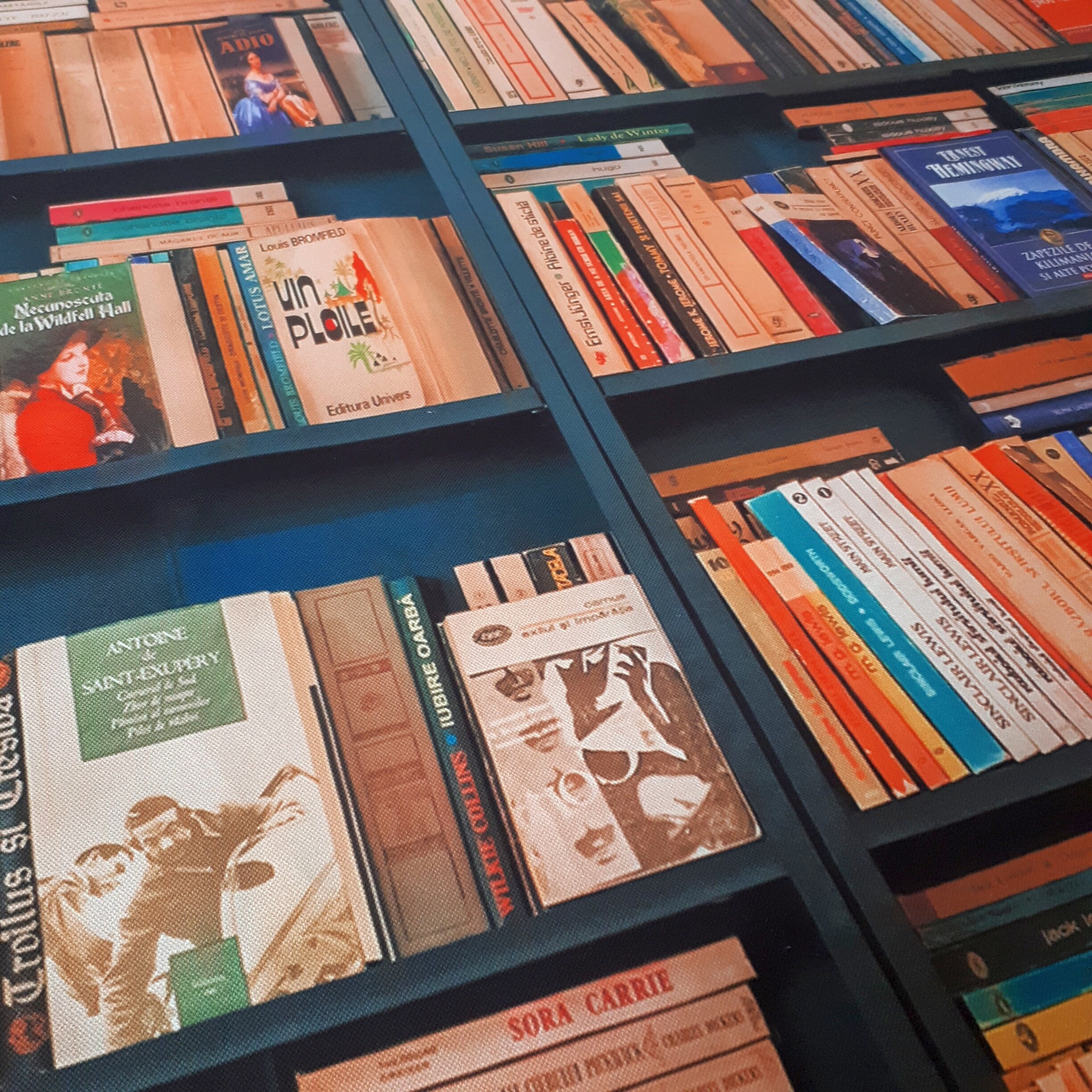 Book Bookcase Bookshelf Fabric DIY Fabric for Curtain - Etsy