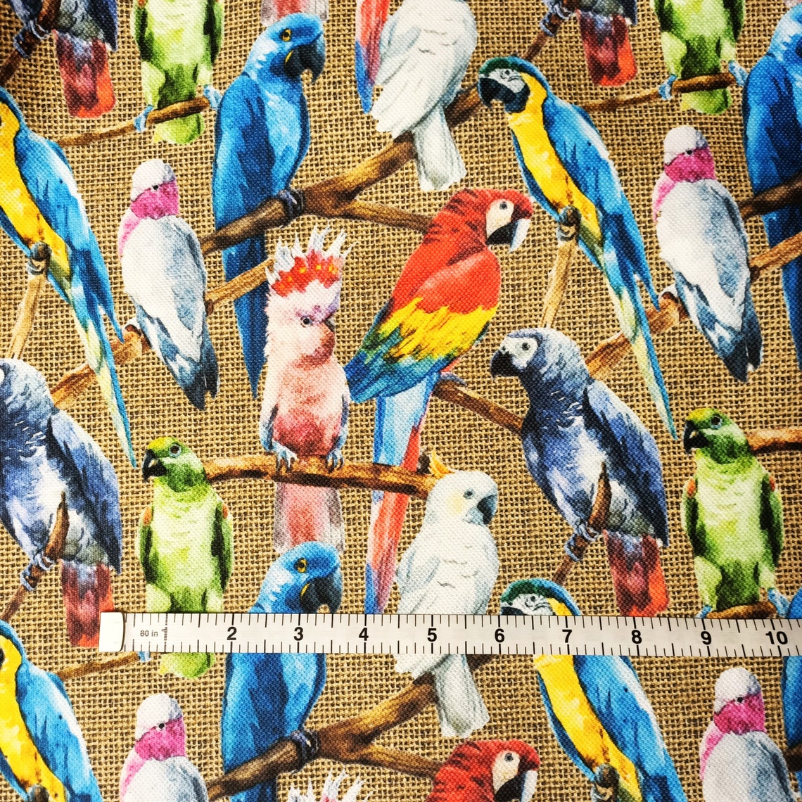 Parrot Pattern Fabric African Parrot Cockatiel Parrot Noble | Etsy