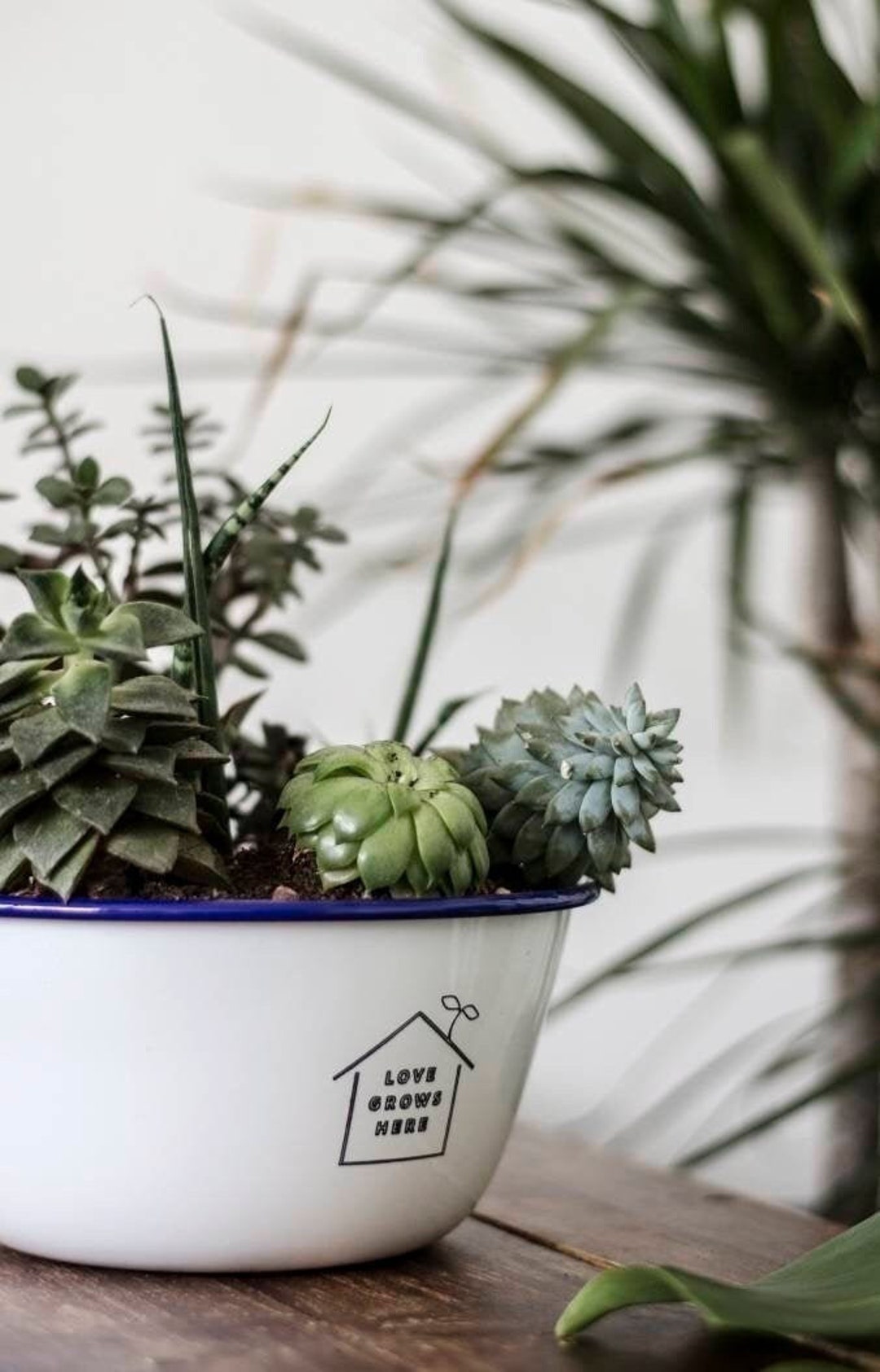 Love Grows Here Engraved Enamel Planter - Etsy