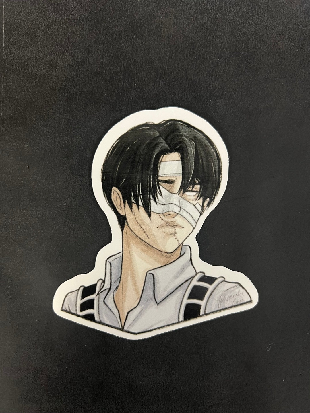 Aot Sticker Bundle - Etsy