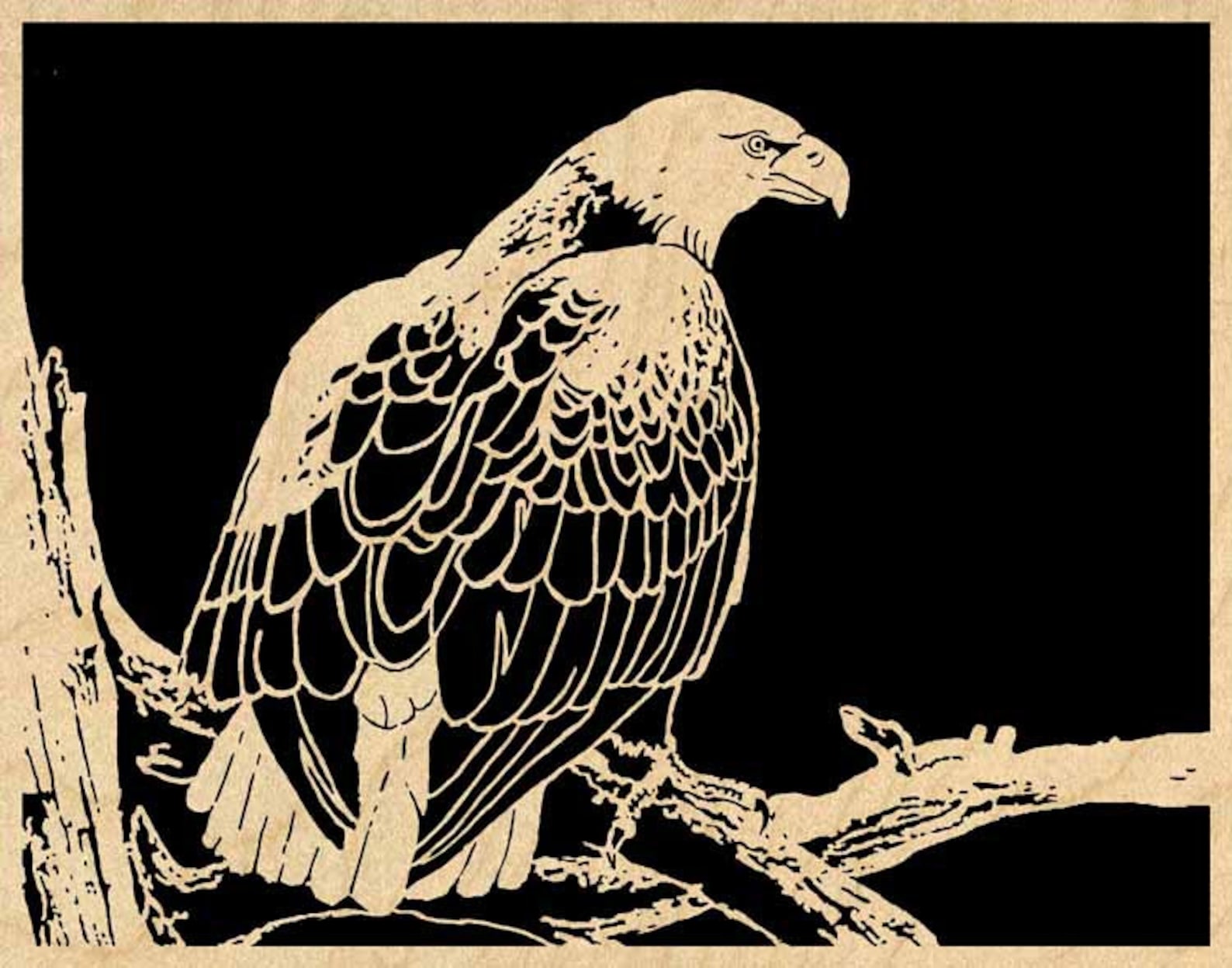 029mw - Eagle on A Limb - Scroll Saw Pattern (pdf) - Etsy