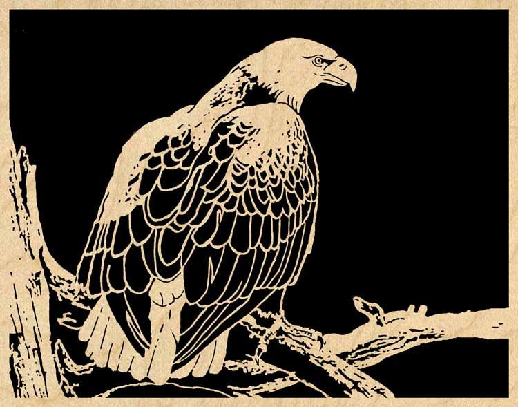 029mw - Eagle on A Limb - Scroll Saw Pattern (pdf) - Etsy