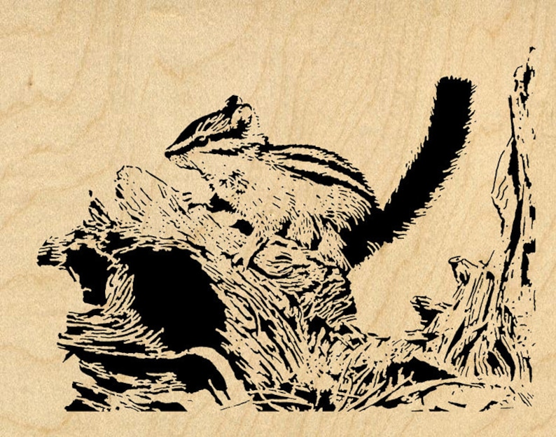 019mw - Chipmunk - Scroll Saw Pattern (pdf) - Etsy