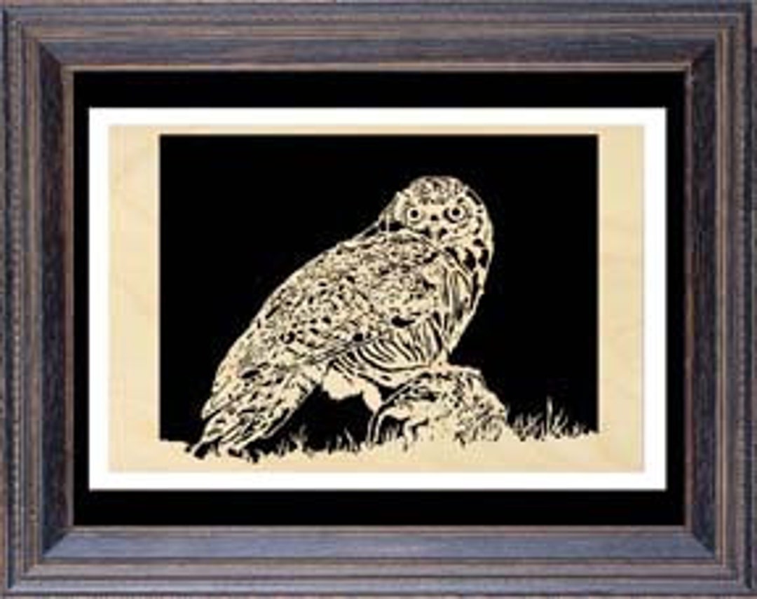 150mw - Feeding Owl - Scroll Saw Pattern - Etsy