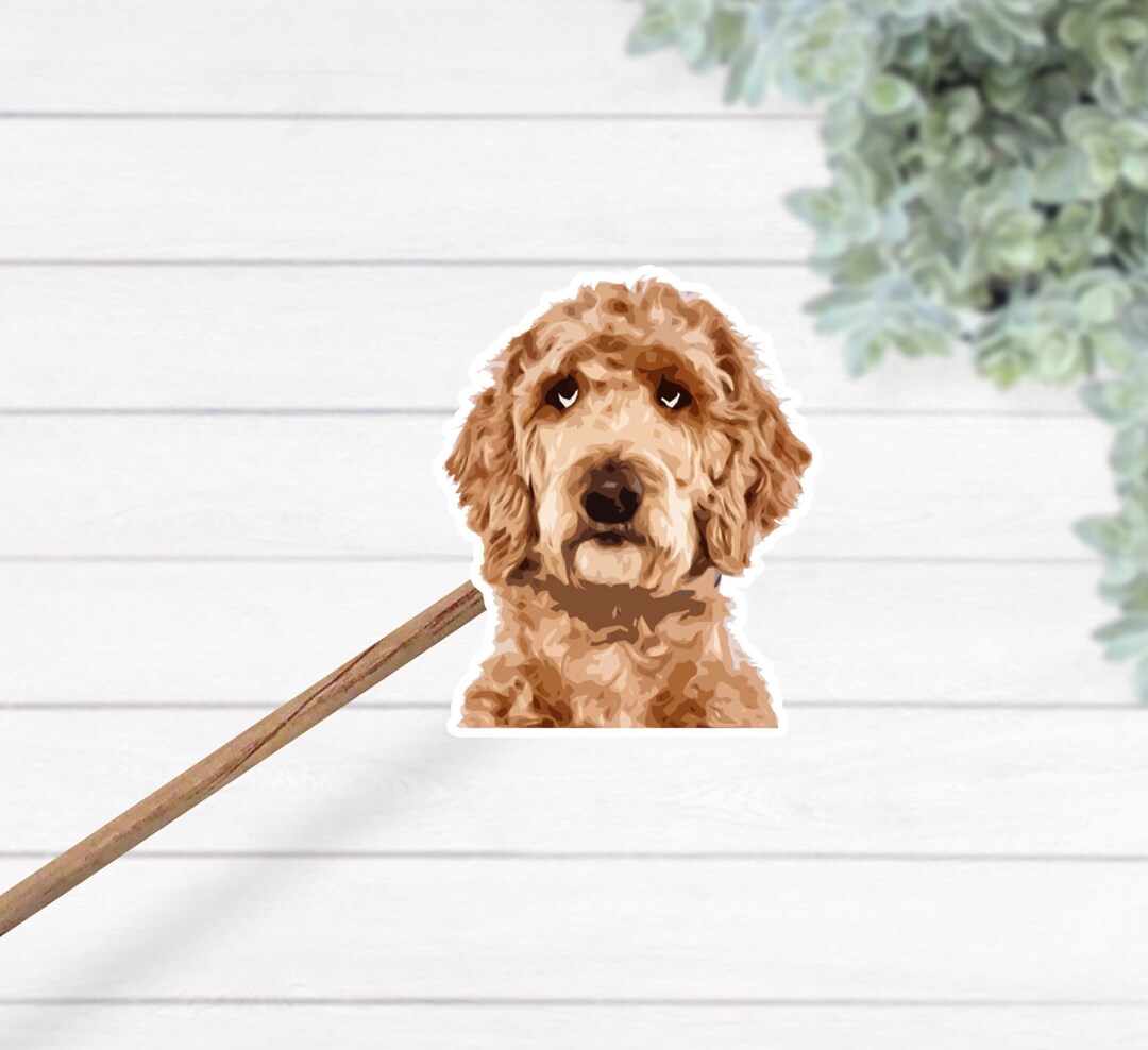 Goldendoodle Sticker - Doodle Sticker - Goldendoodle Sticker for Laptop ...