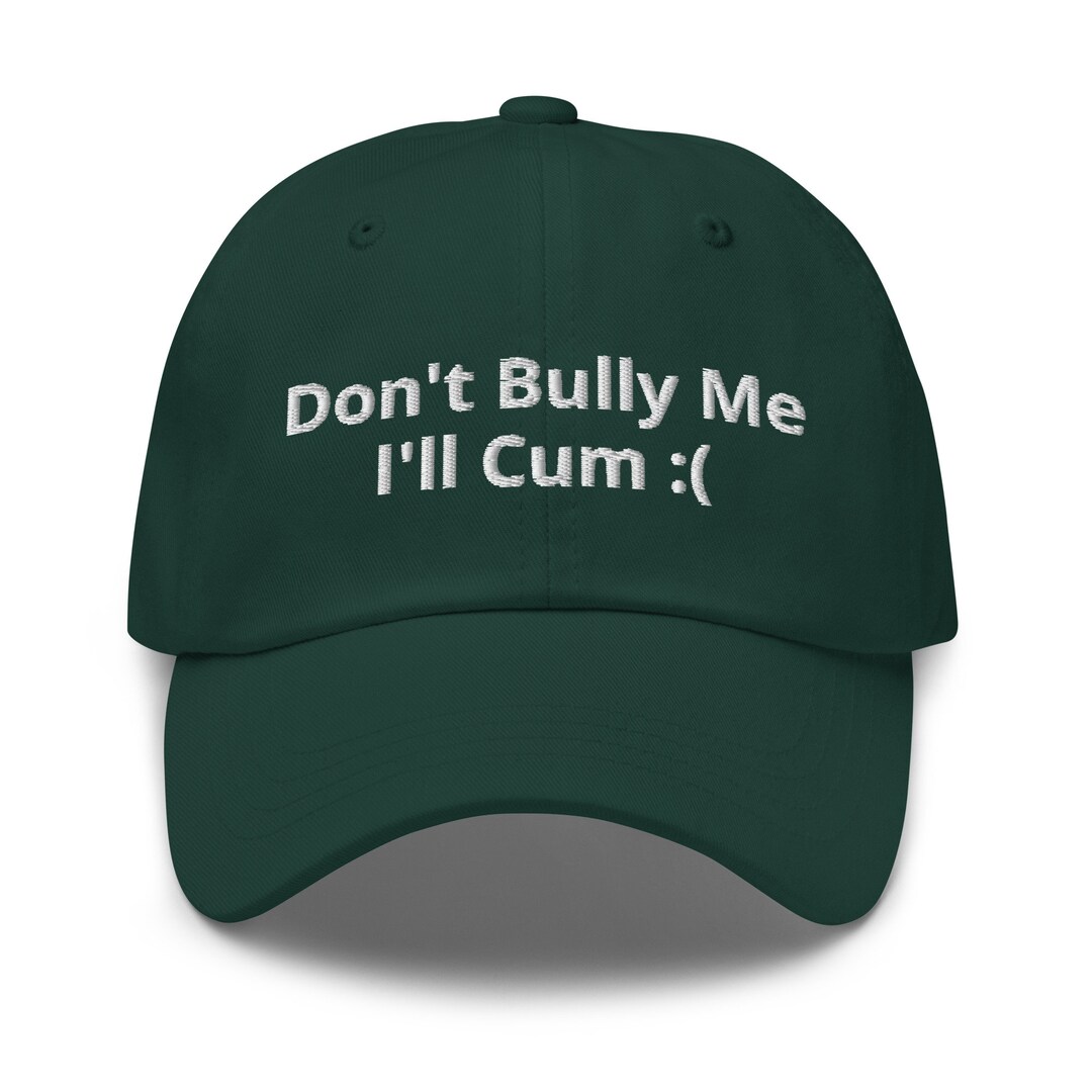 Don't Bully Me Hat, Embroidered Meme Hat, Gothic Hat, Emo Cap, Unisex ...
