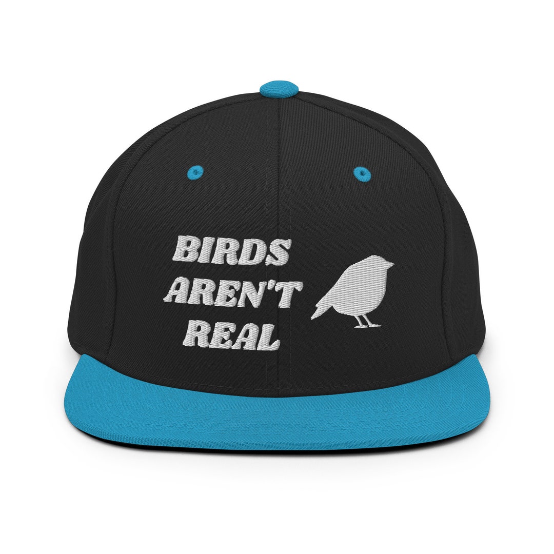 Birds Aren't Real Snapback Hat, Pigeons Are Liars Snapback Hat ...
