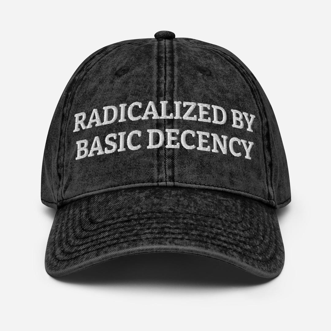 Radicalized by Basic Decency Hat, Social Justice Activism Hat, Gift for ...