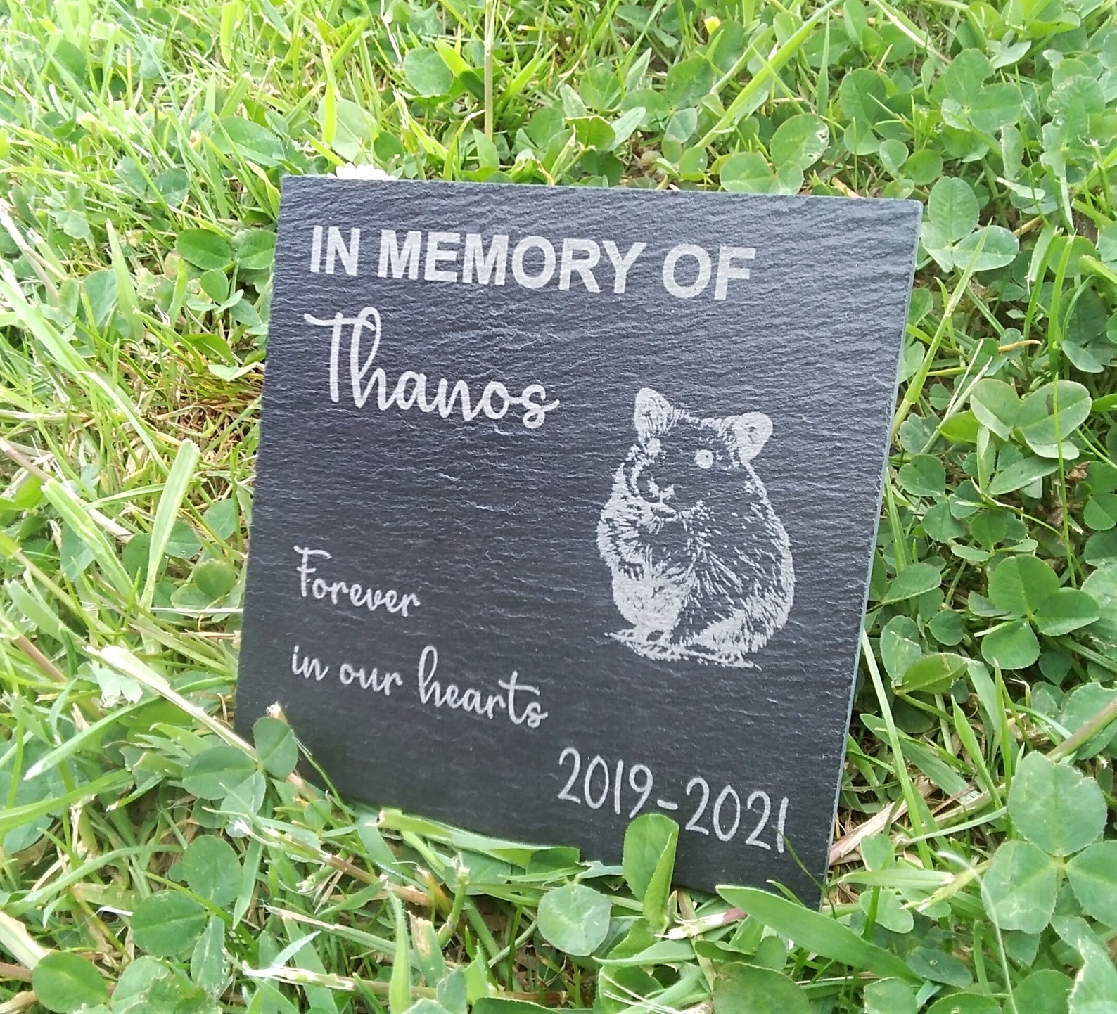 Personalised Memorial Slate Plaque For Pet Rat Mouse Grave | Etsy