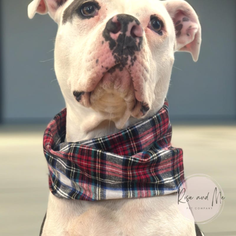 Scarf With Shoes on It - Etsy