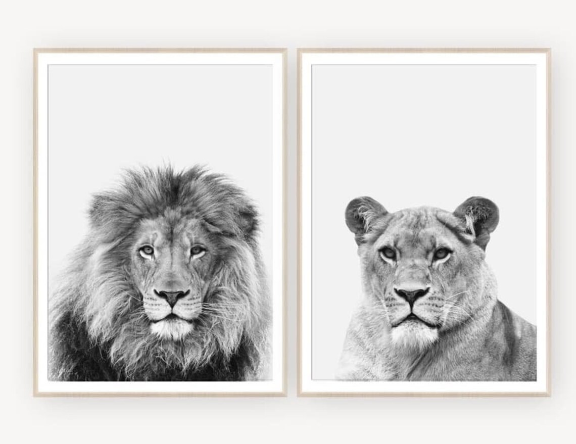 Lion Print Set Lioness Print Set of 2 Prints Large Poster - Etsy