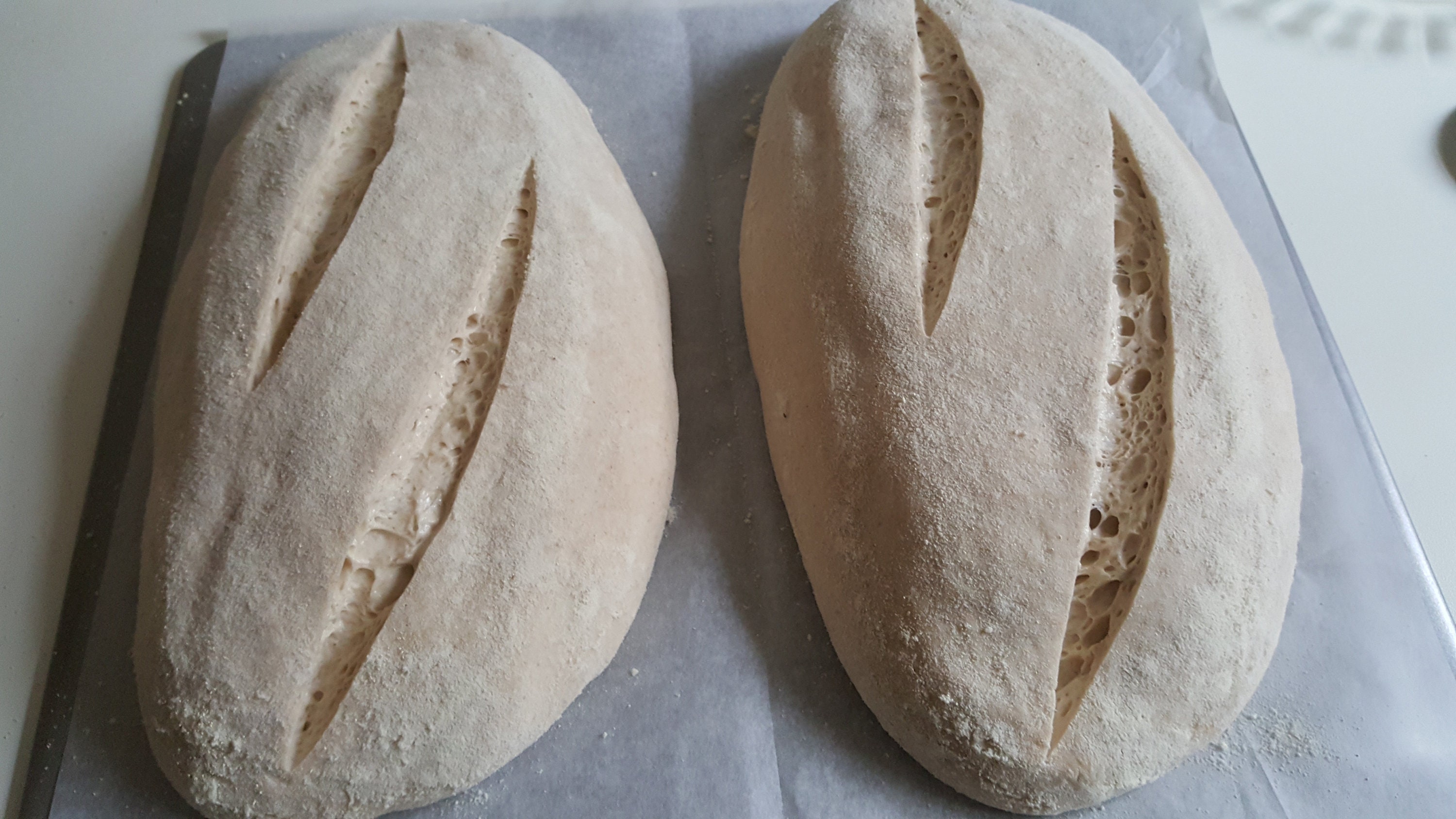 Multicereal Sourdough Bread Recipe - Etsy