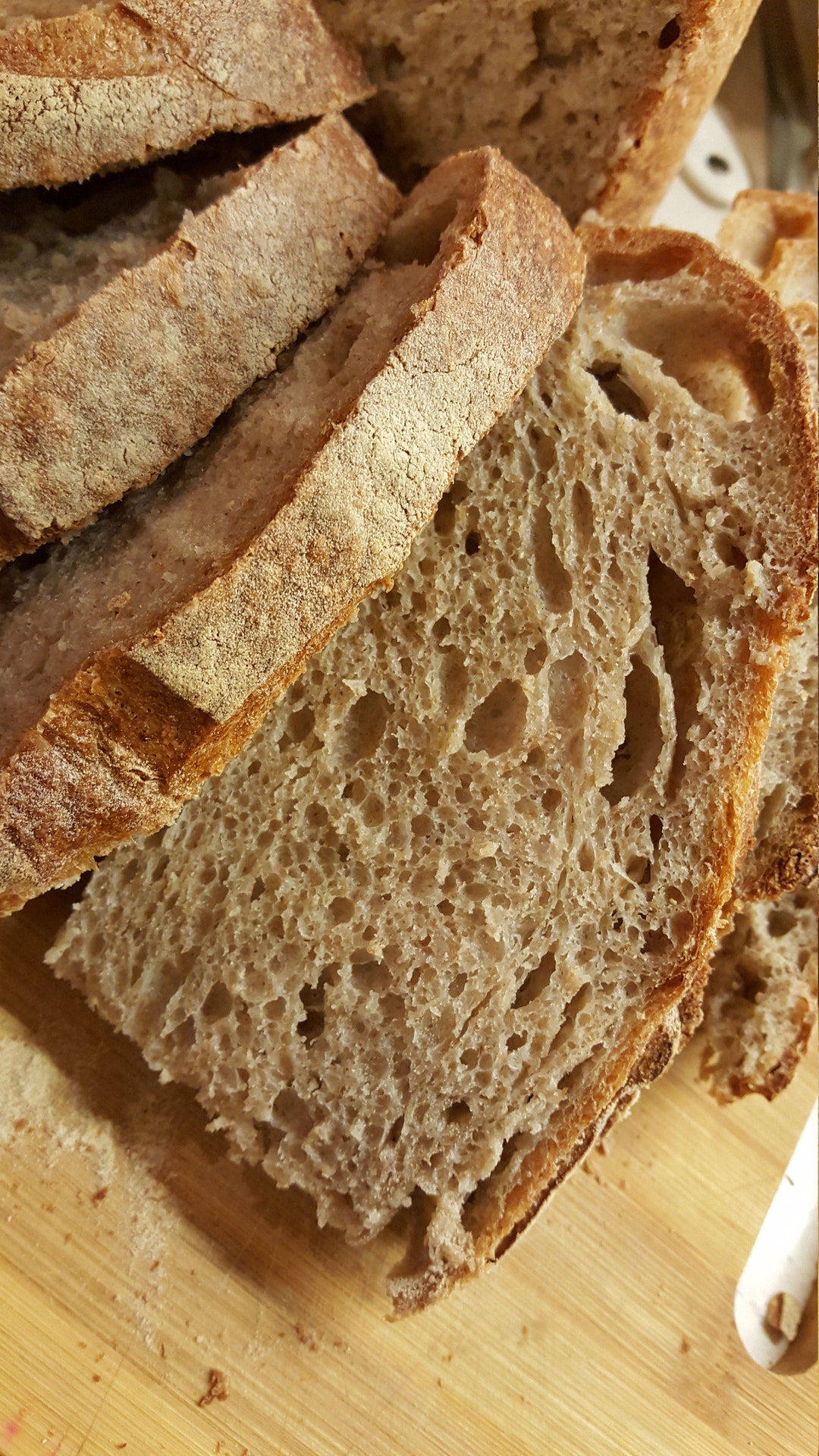 Multicereal Sourdough Bread Recipe - Etsy