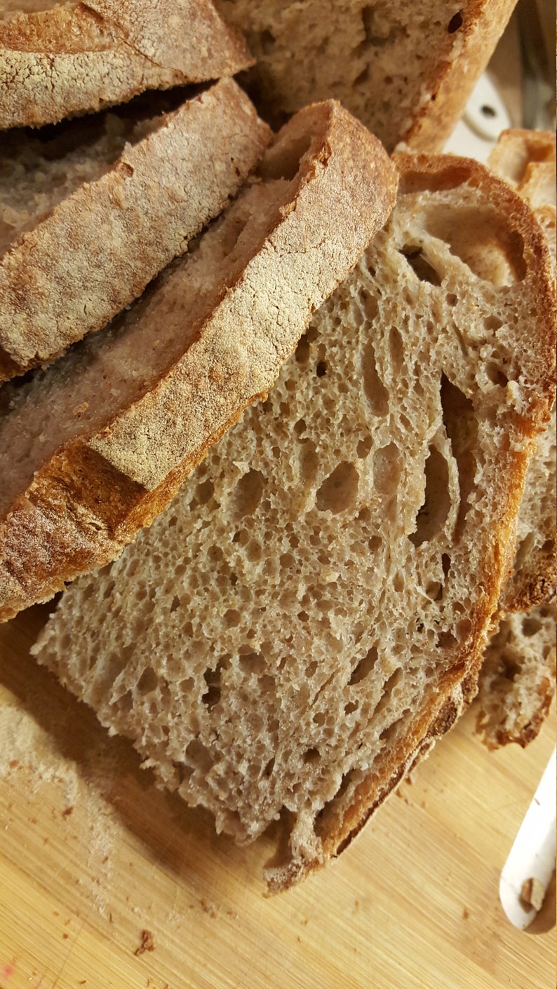 Multicereal Sourdough Bread Recipe - Etsy