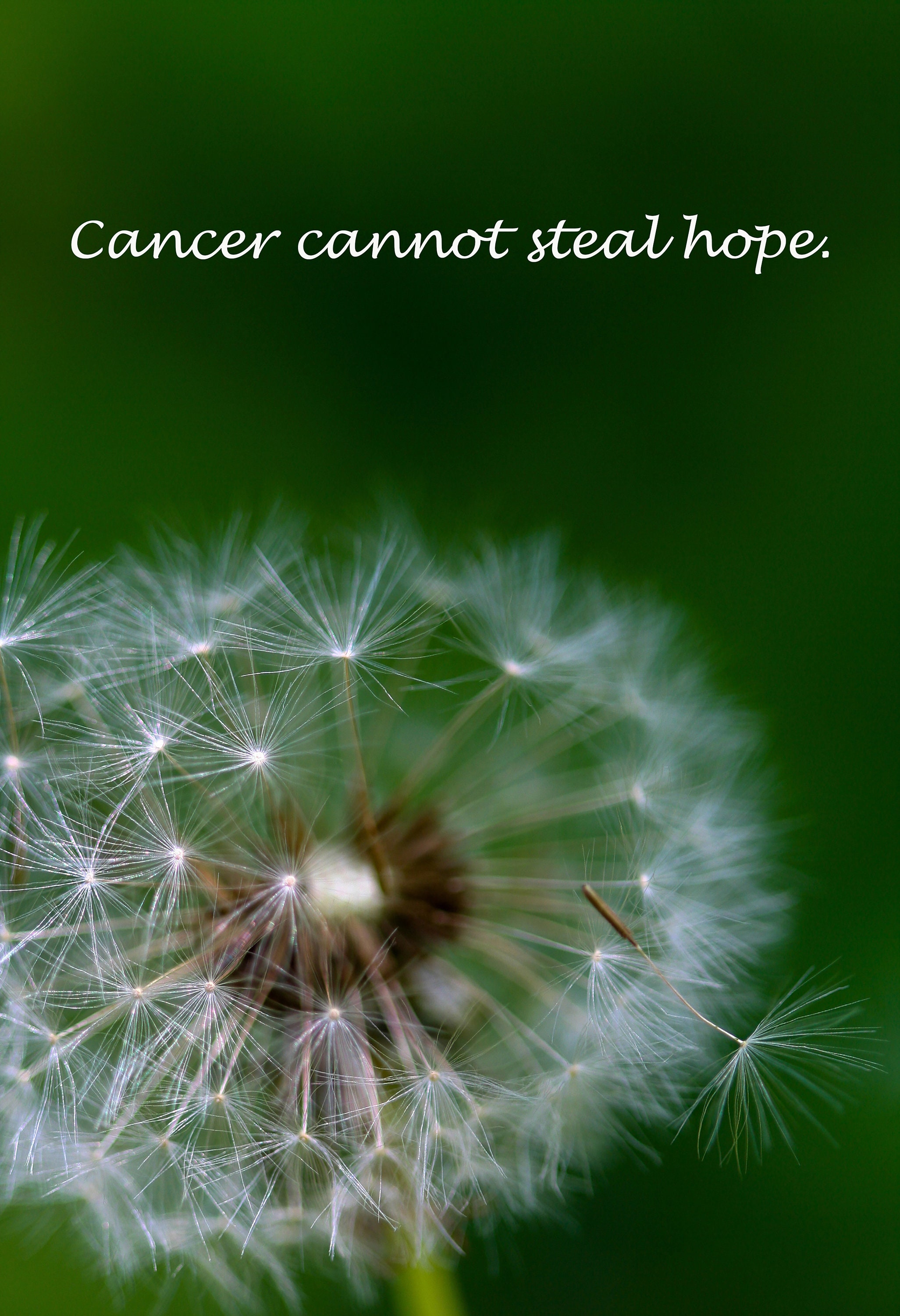 Wall Art for Cancer Patients - Etsy
