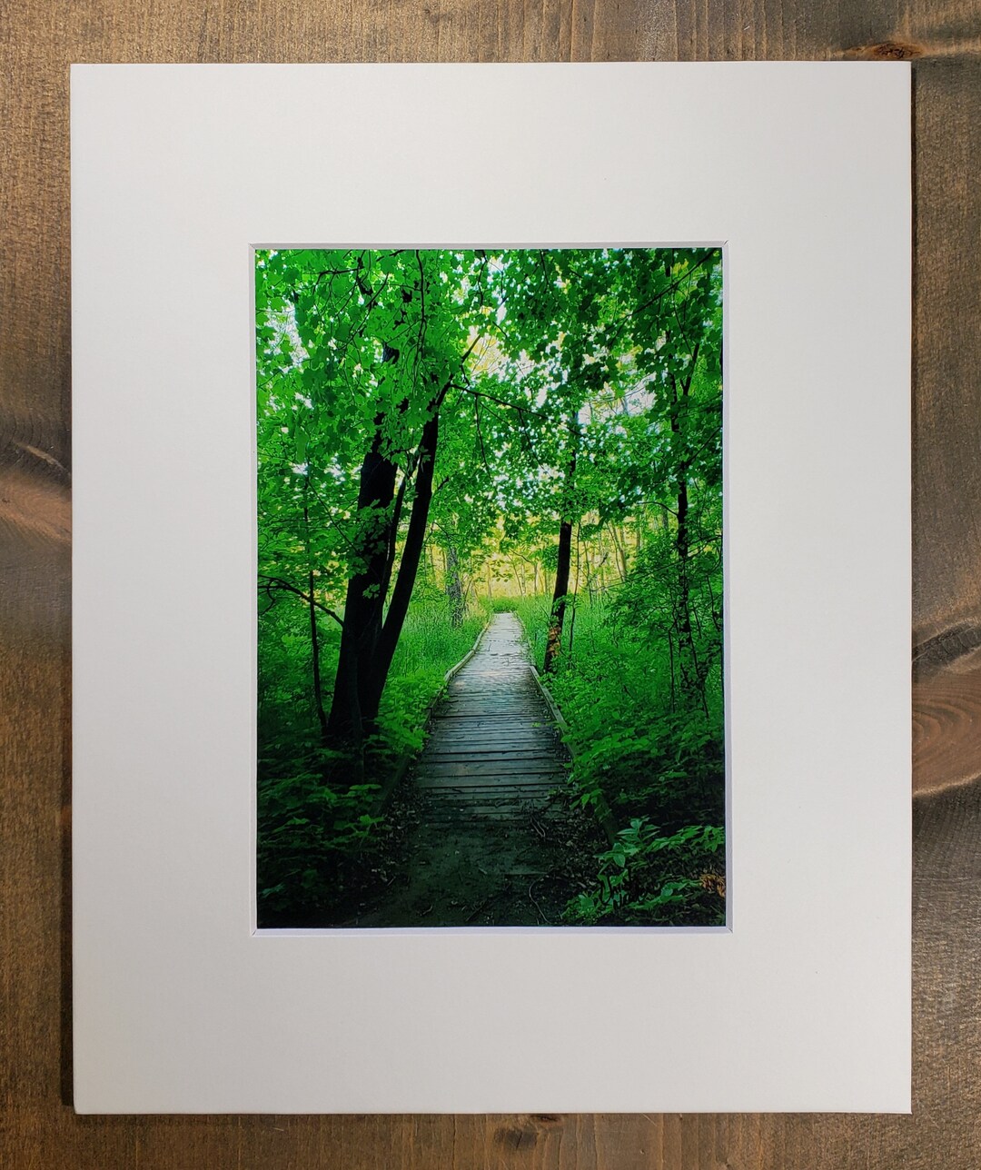 Wooden Path - Wood-rill State Natural Area - Minnesota - 5X7 Photograph ...