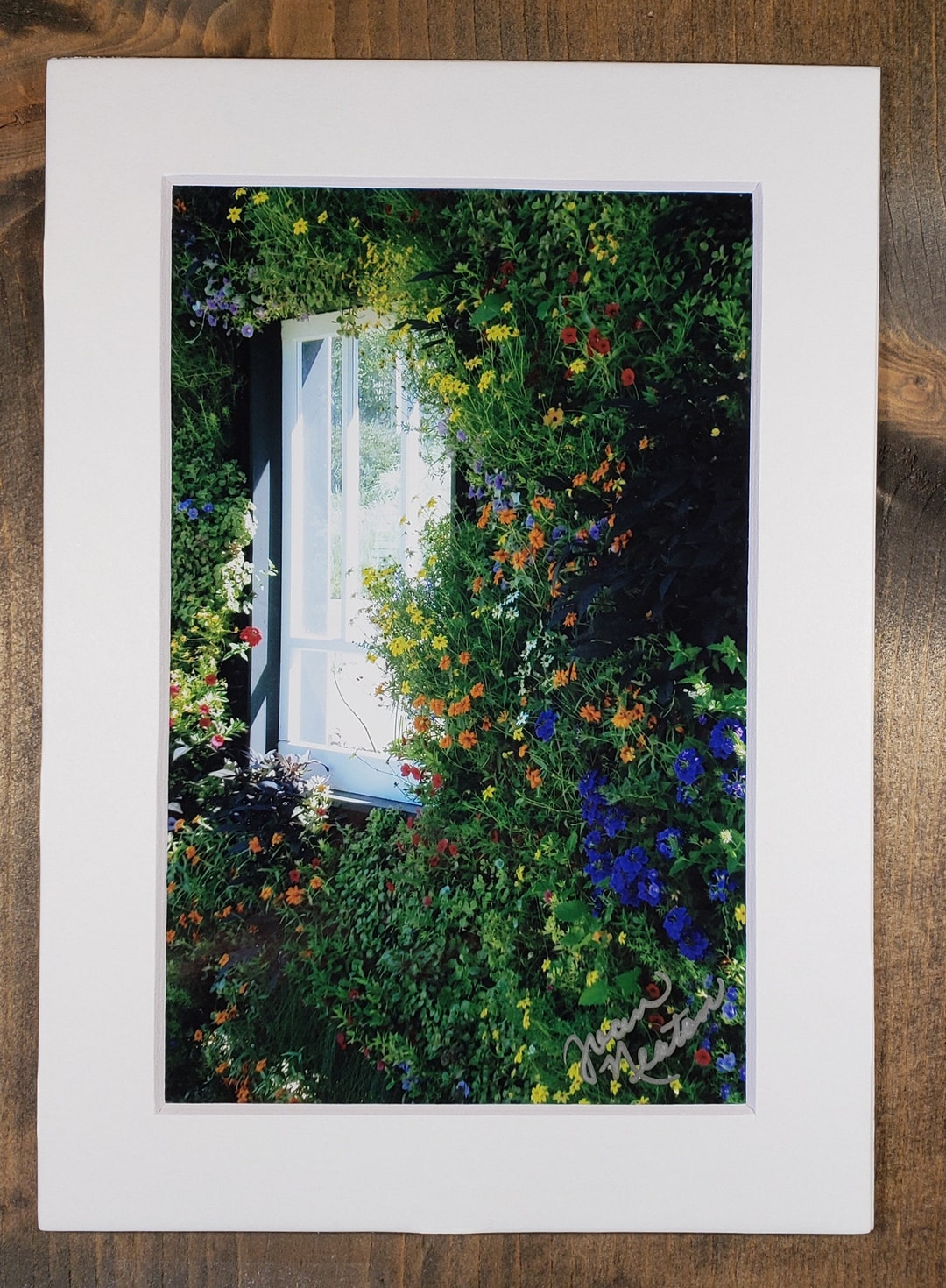 Garden Window - Minnesota Arboretum - 4X6 Photograph Secured to a 5X7 ...