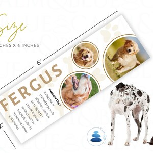 Therapy Animal Bookmarks, Custom Made Bookmarks for Library Visits ...