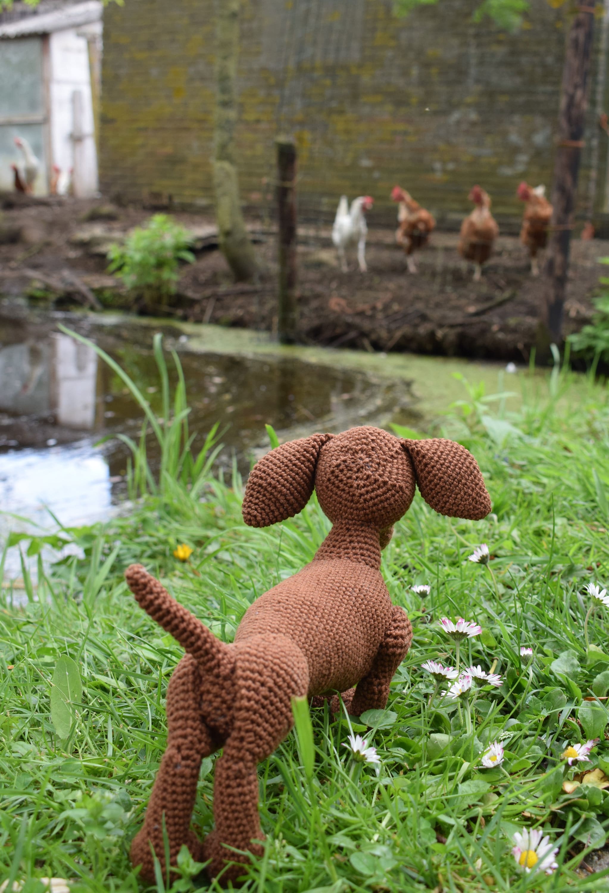 Pattern Dachshund | Haakpatroon Teckel | Tekkel | Crochet dog | Hond ...