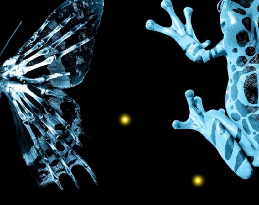 Fringe Poster, Fringe Print, Fringe TV Show, Fringe Glyphs, Fringe ...