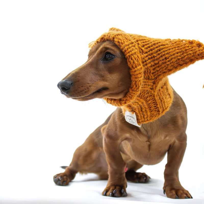 Dog Beanies - Etsy