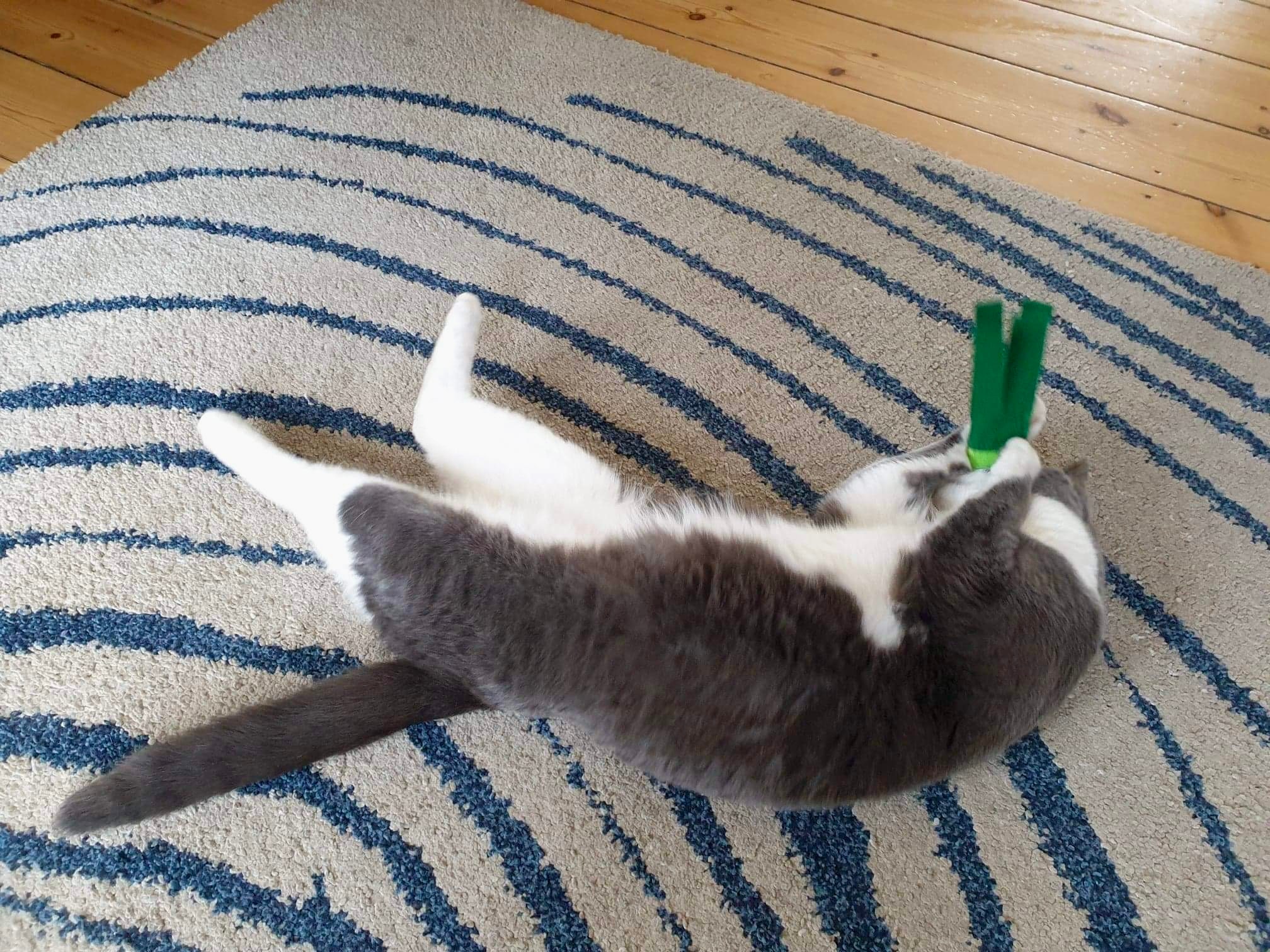 Felt Leek Catnip Toy - Felt Leek Cat Kicker - Stuffed Cat Toy - Felt ...