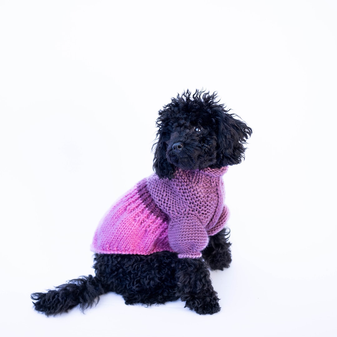 Handmade Woolly Dog Dress in Pink for Small Dogs - Handknitted Woolen ...