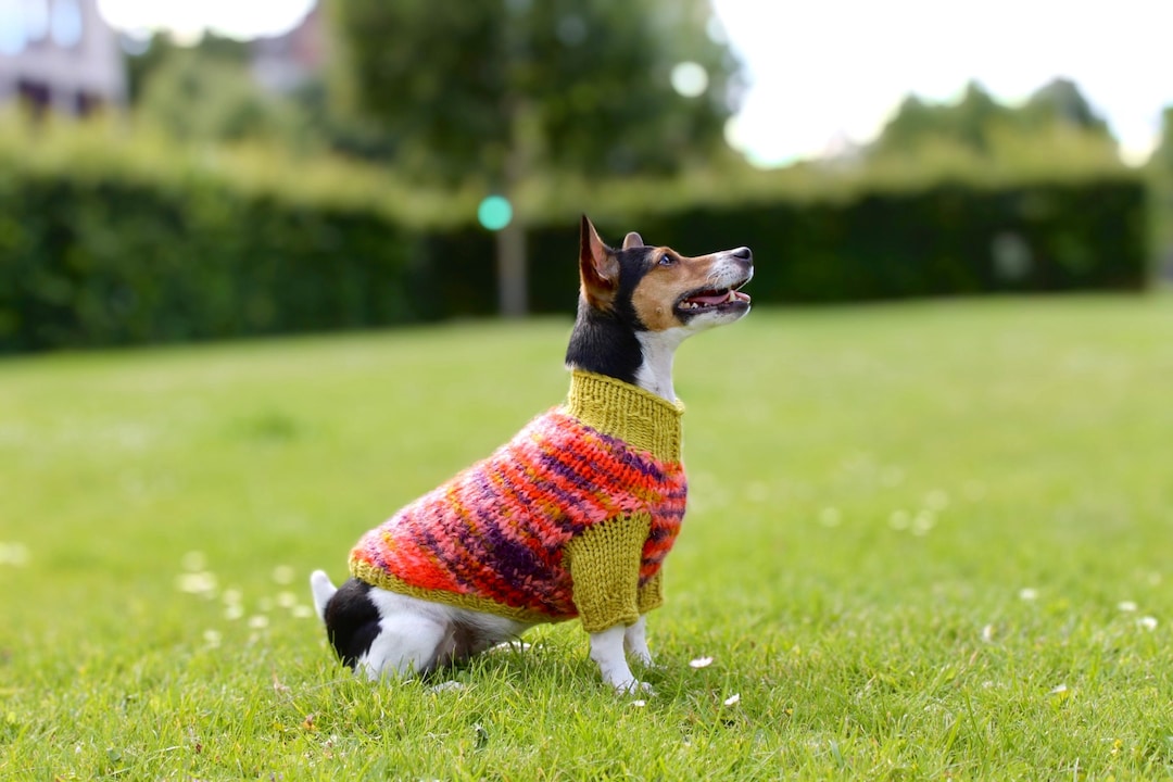 Handknitted Melange Dog Sweater in Wool for Small Dogs - Handmade ...