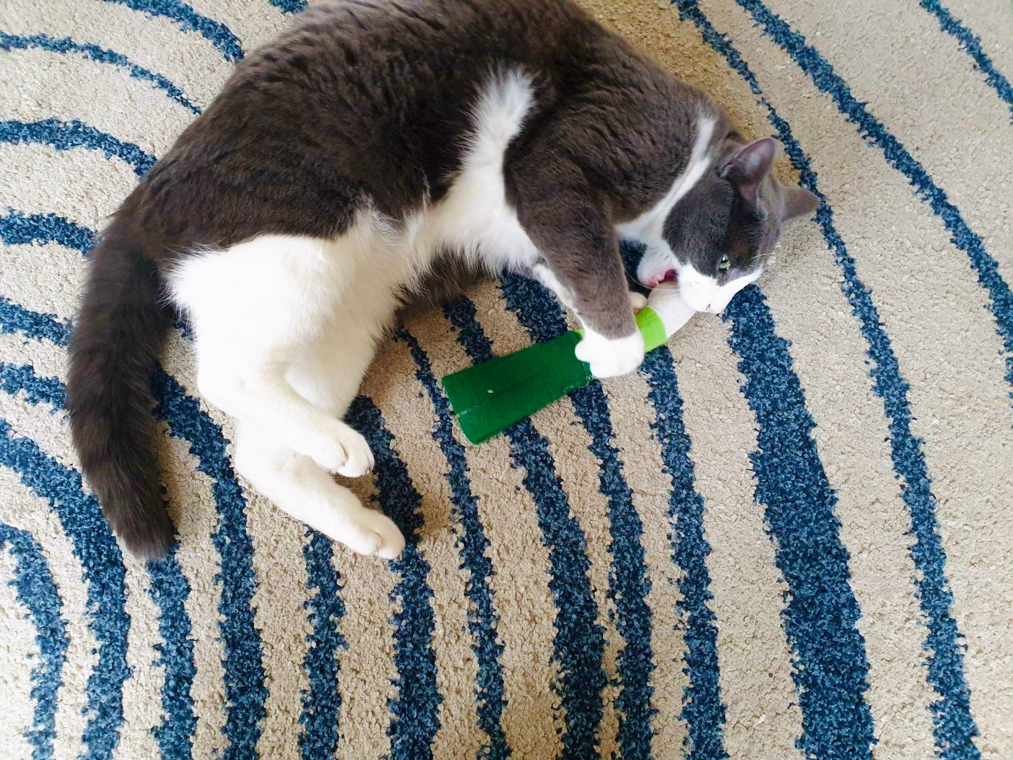 Felt Leek Catnip Toy - Felt Leek Cat Kicker - Stuffed Cat Toy - Felt ...