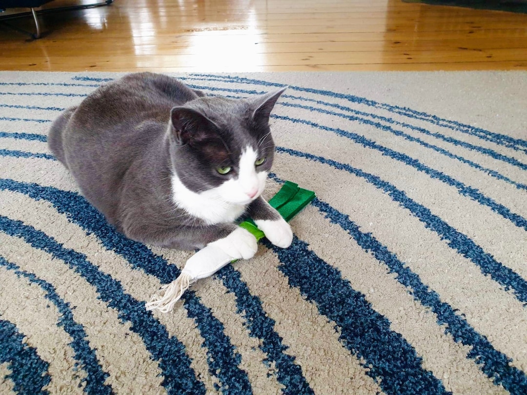 Felt Leek Catnip Toy - Felt Leek Cat Kicker - Stuffed Cat Toy - Felt ...