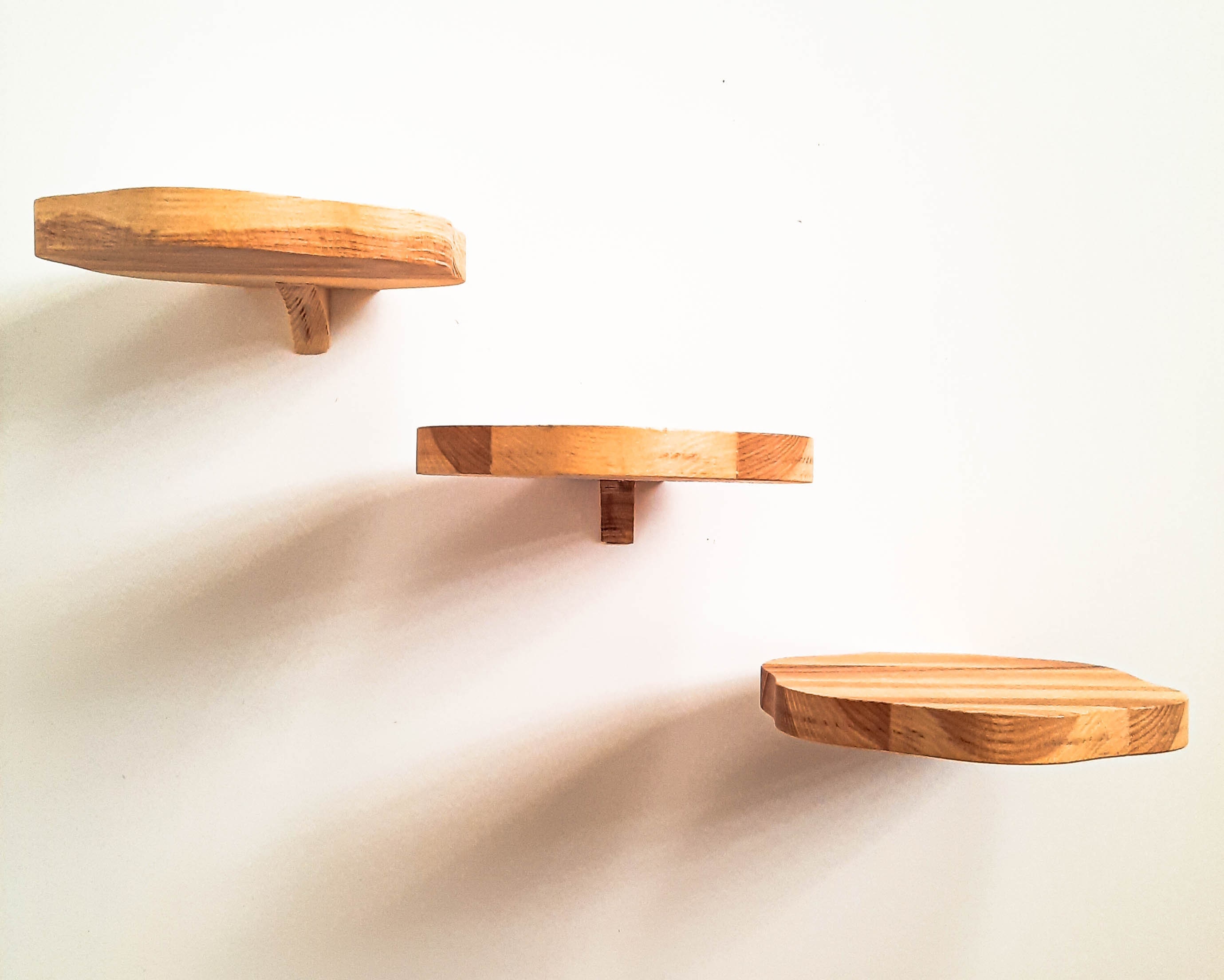Set Round Floating Shelf Small End Medium Wooden Shelves - Etsy