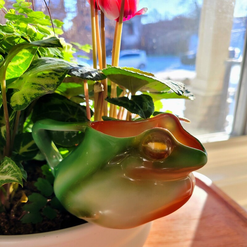 Frog Pitcher - Etsy