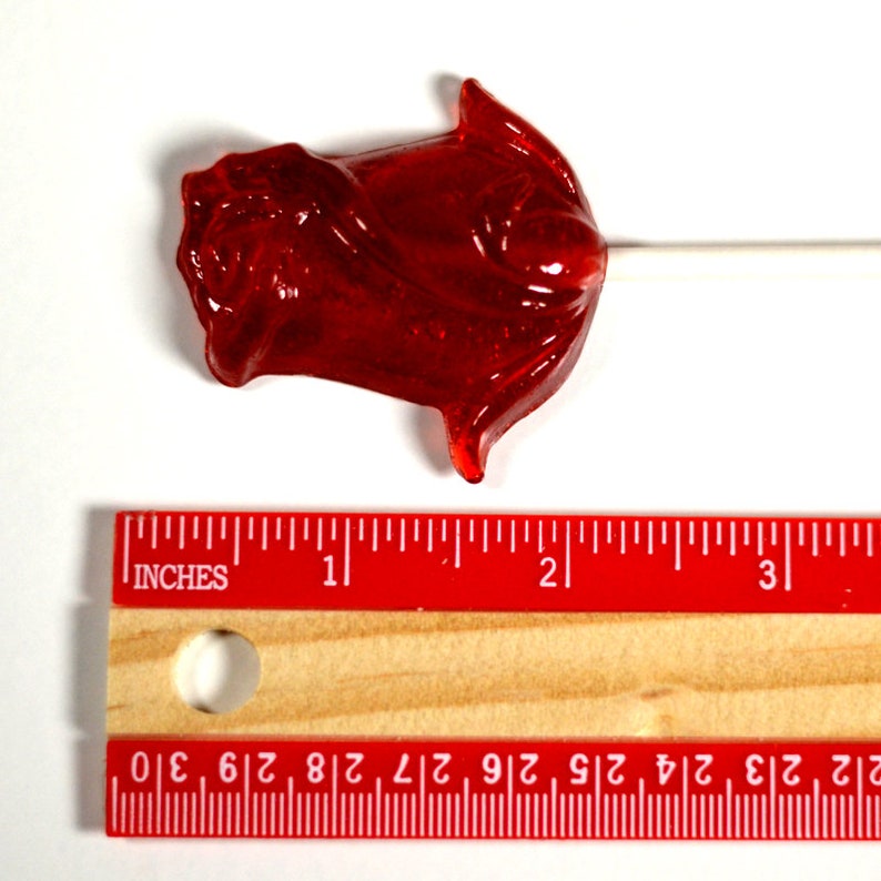 Roses Lollipop Dozen - Etsy