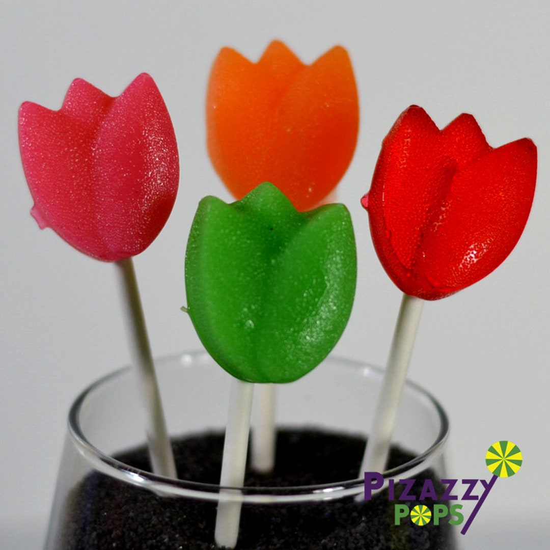 Tulip Bundle of Dozen - Etsy Singapore
