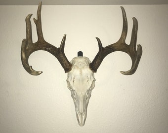 European mount | Etsy