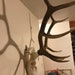 Large European Mount Hanger - Etsy