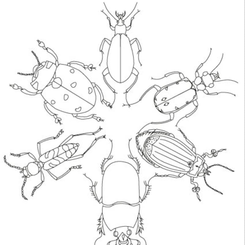 Beetle Embroidery - Etsy