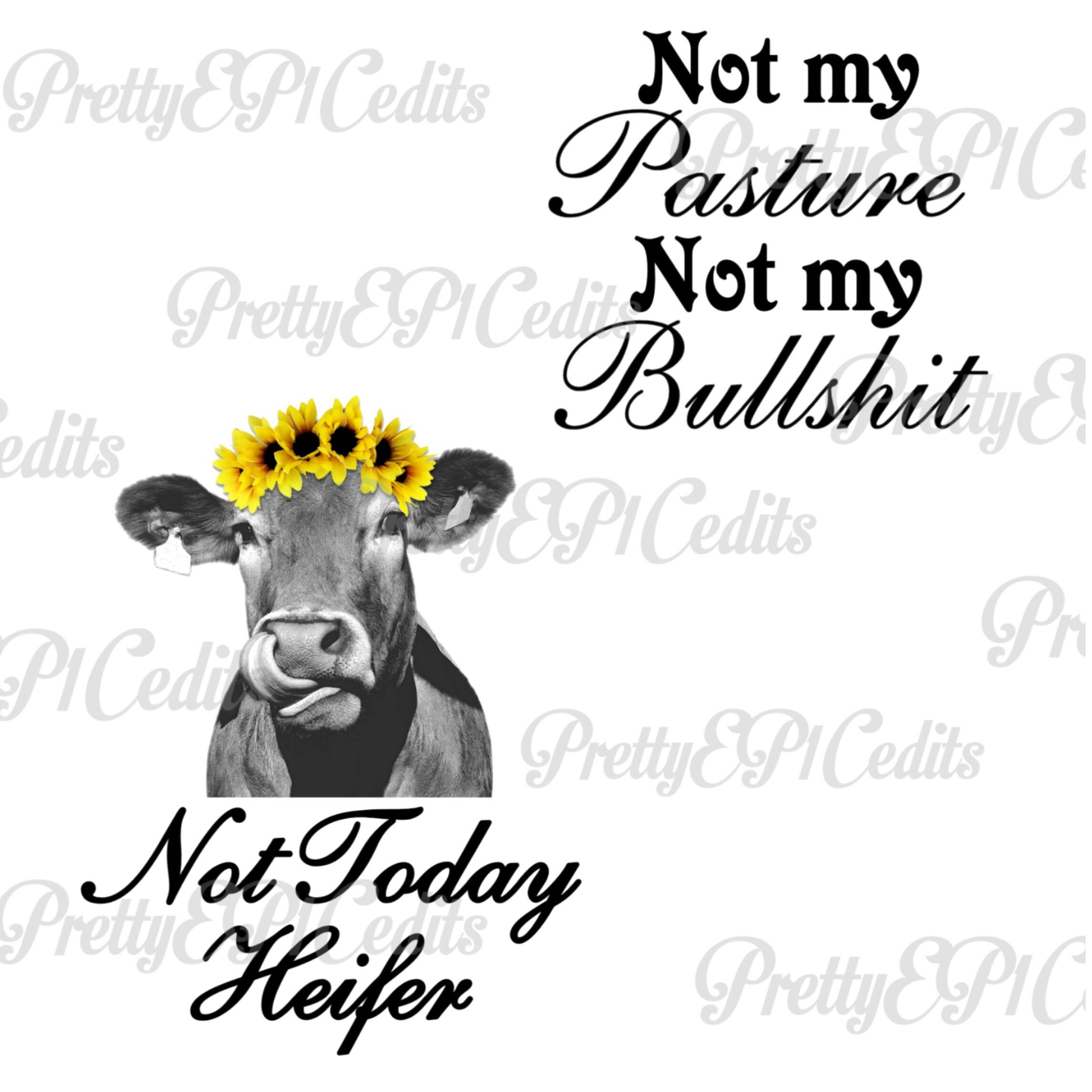 Heifer, Cow Bundle, Not My Pasture Not My Bullshit Quote, Digital ...