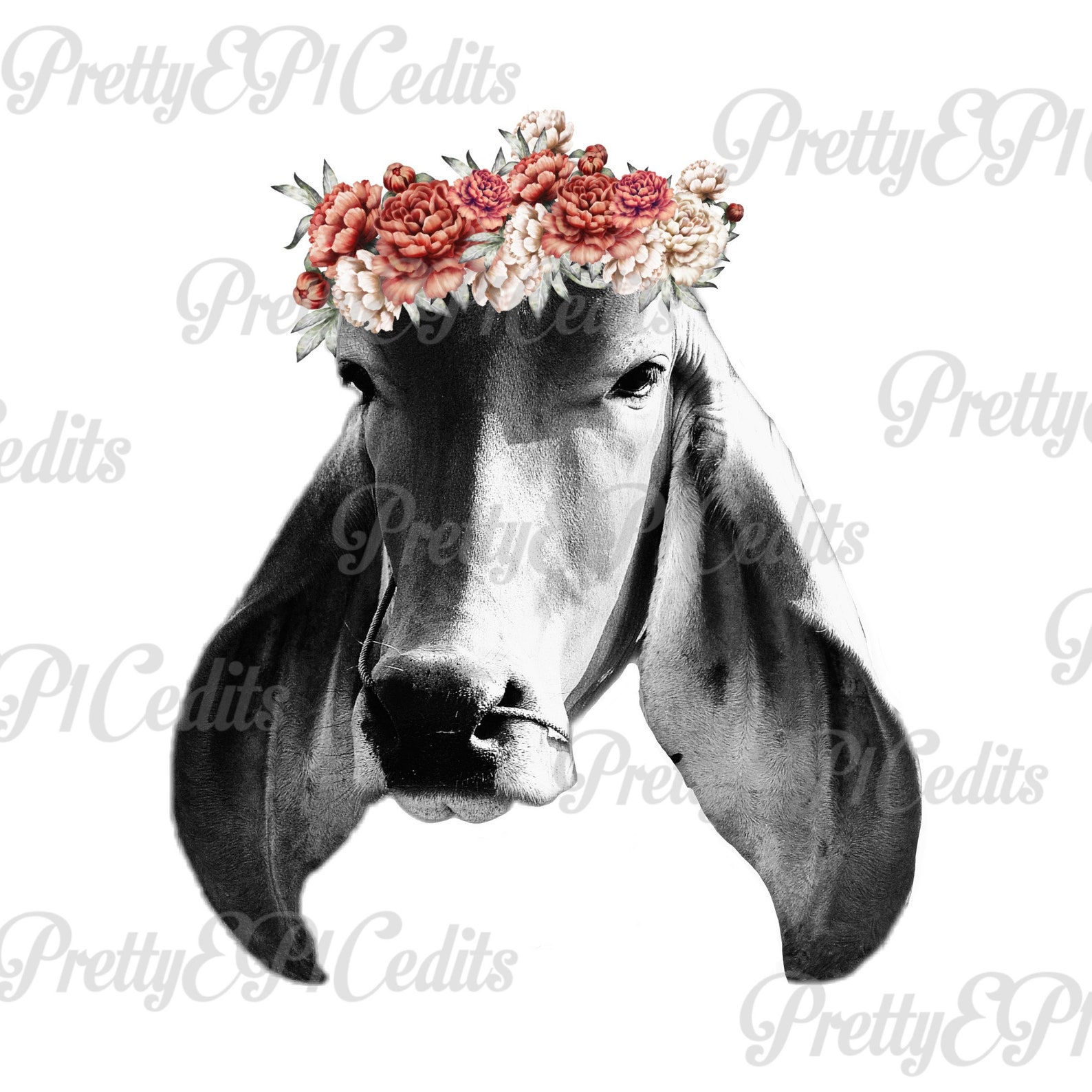 PNG Long Ear Cow Heifer Flower Crown Black and White - Etsy