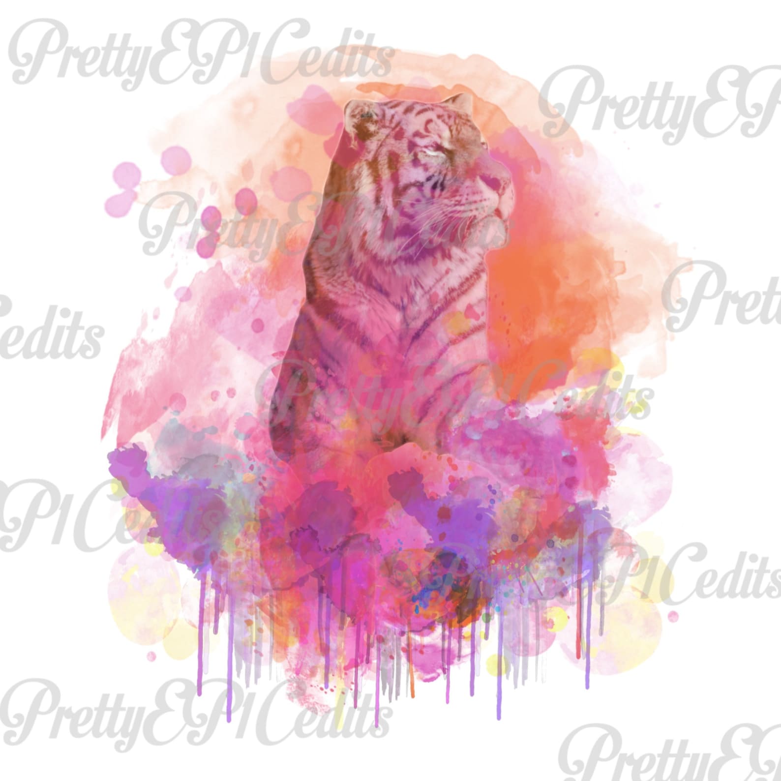 Watercolor Tiger, Rainbow, Queen, Digital Download, Clip Art, PNG, JPG ...