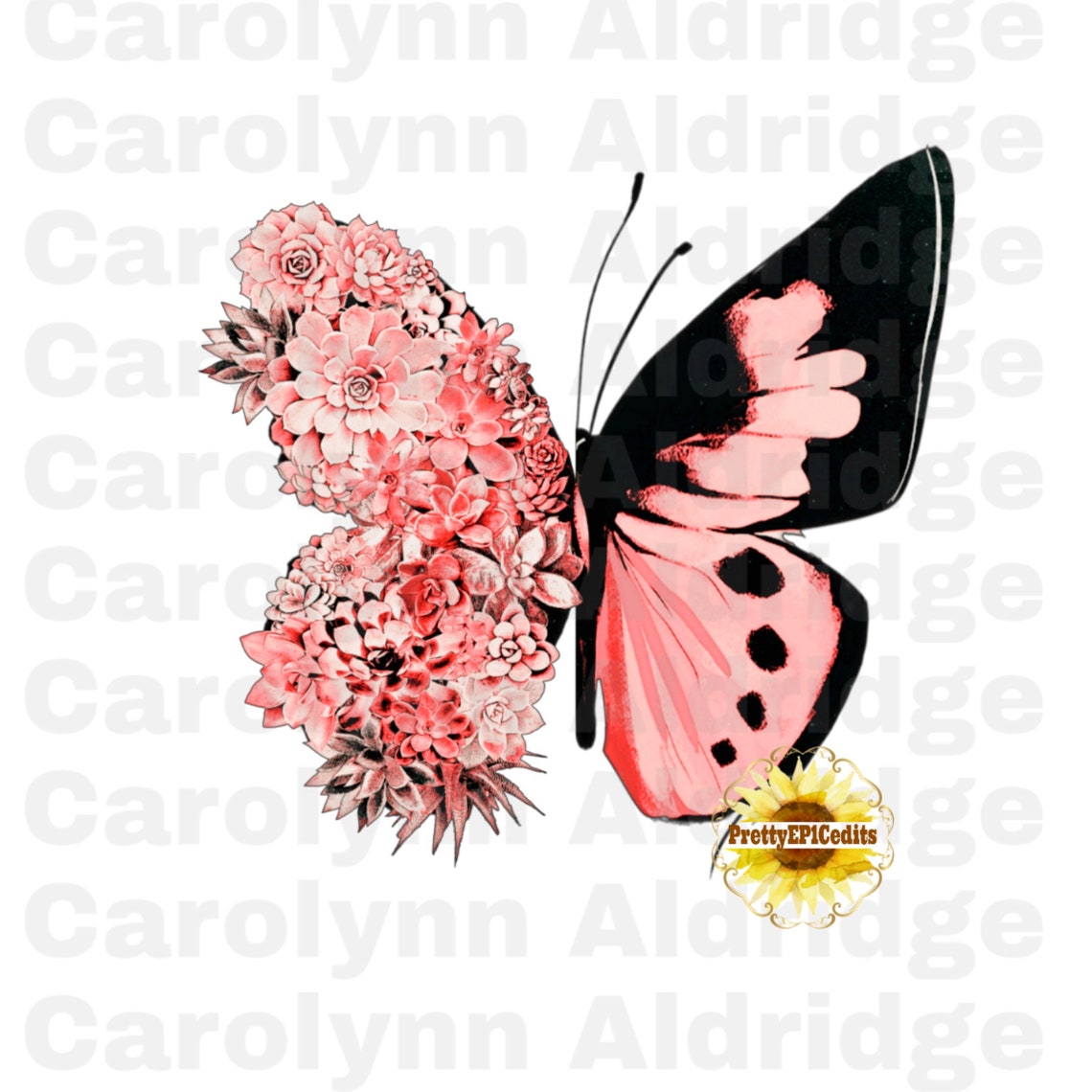 Vintage Monarch Butterfly Pink Butterfly With Succulent | Etsy