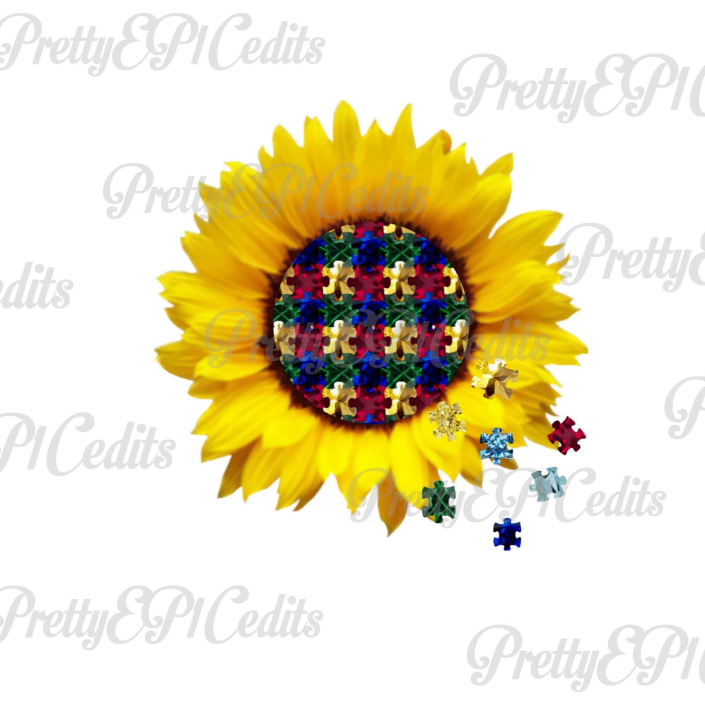 Autism Mom You Are My Sunshine Sunflower Quotes Primary - Etsy