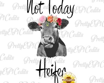 Not Today Heifer - Etsy