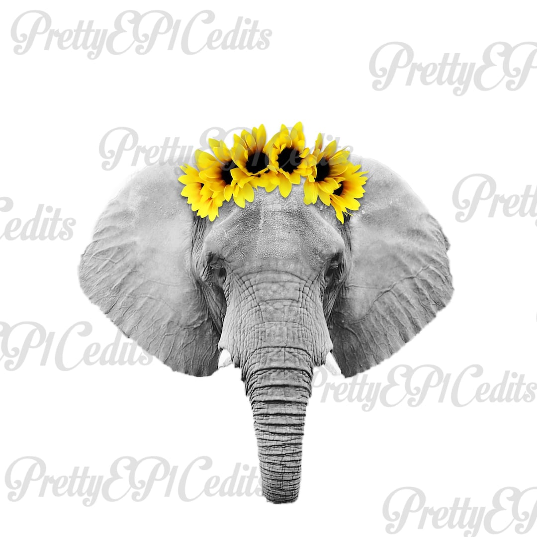 Elephant Sunflower Clip Art, PNG, Digital Download, - Etsy