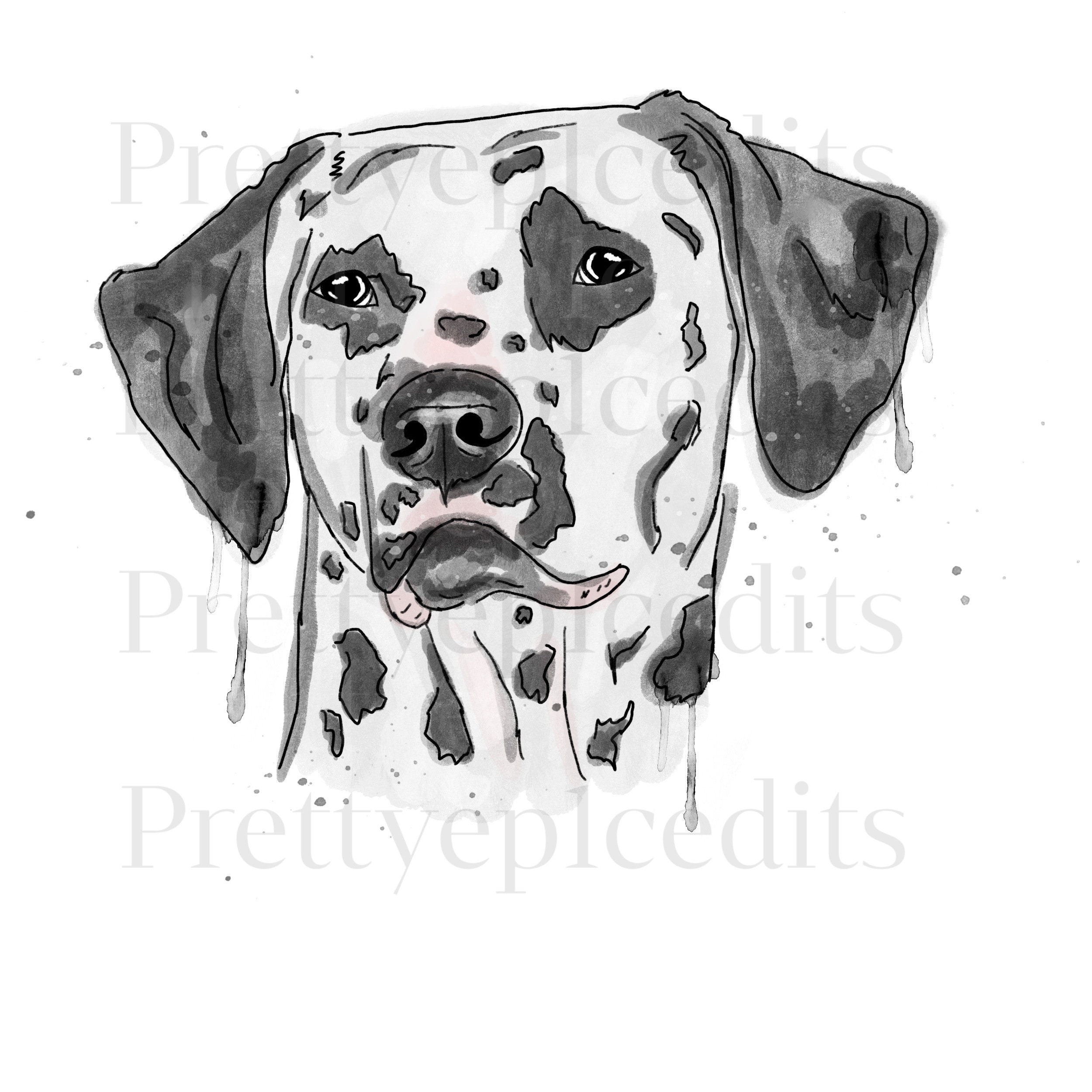 Watercolor Dalmatian Dalmatian Designs Watercolor Dog PNG | Etsy
