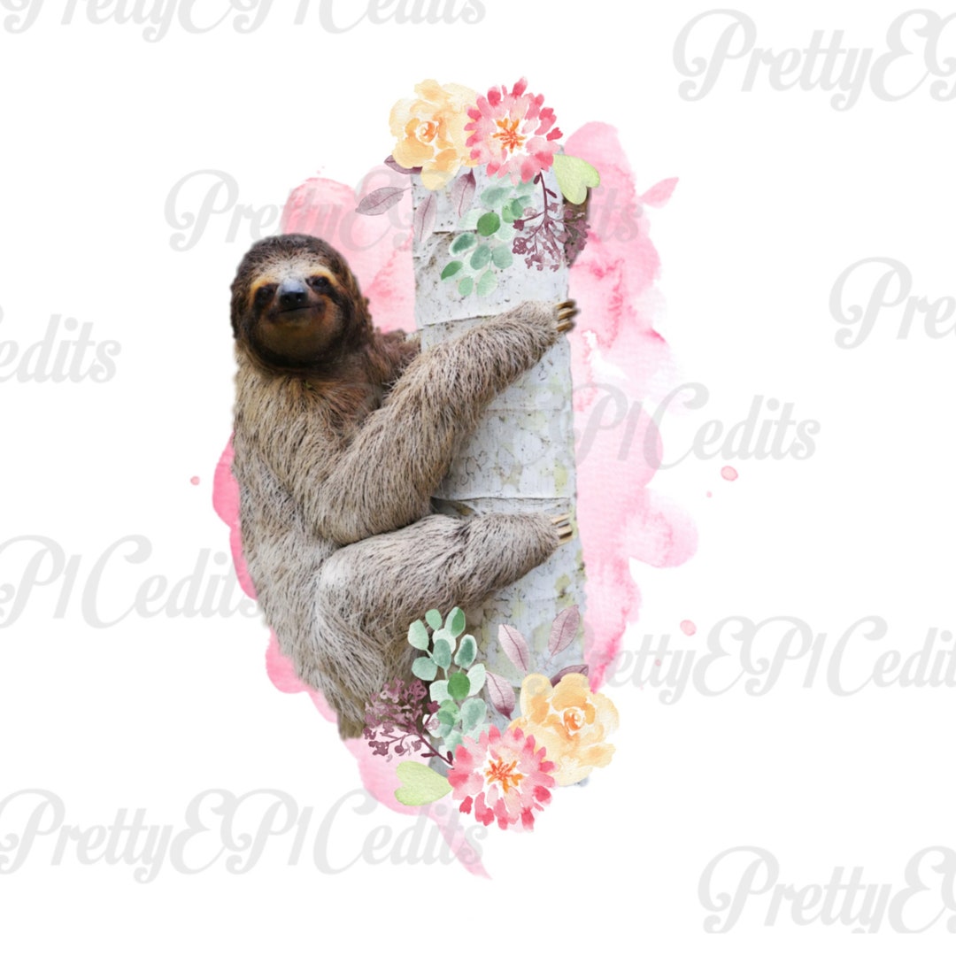 Sloth on Tree With Flowers, Watercolor, Digital Download, Clip Art, PNG ...