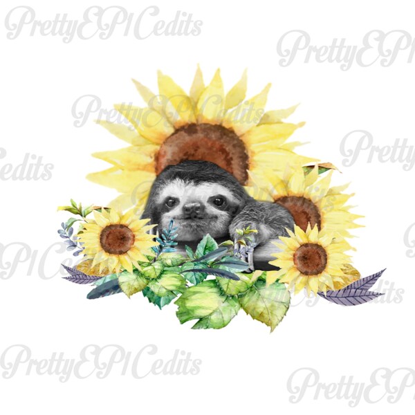 Sloth Decals - Etsy