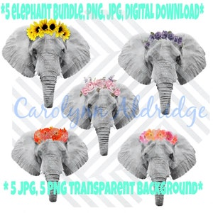 5 Elephant Bundle With Flower Crowns, JPG, PNG, Printable Digital ...
